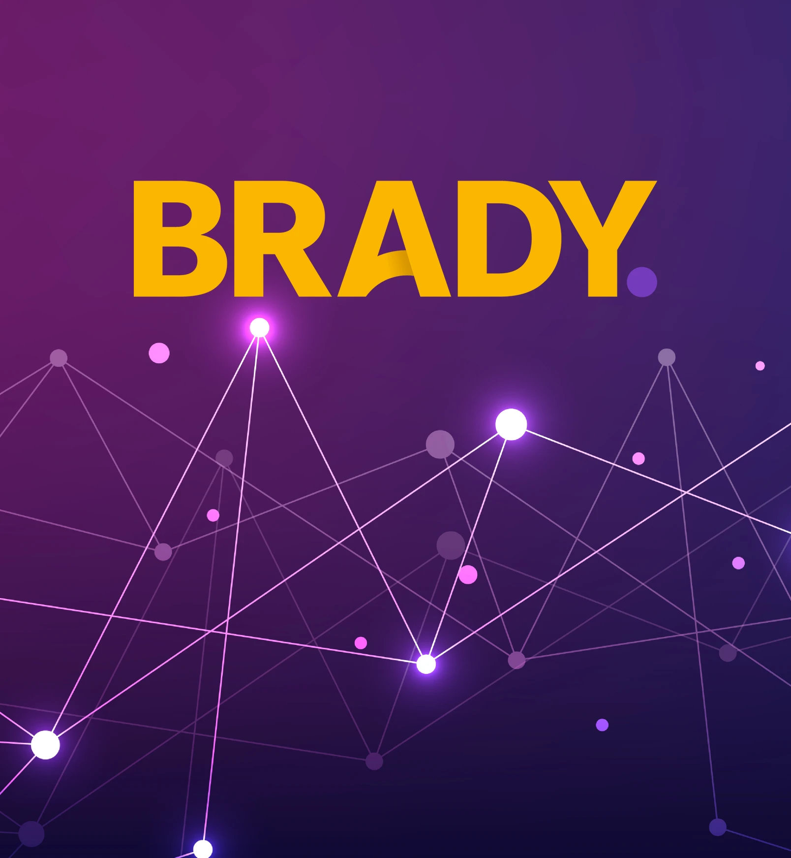 Meet the Board | Brady Technologies
